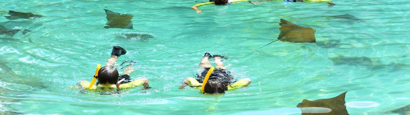 Stingray Experience | Swim with Stingrays | Atlantis Bahamas