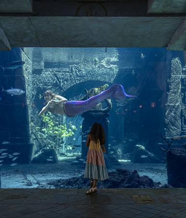 Summer Camp In Paradise