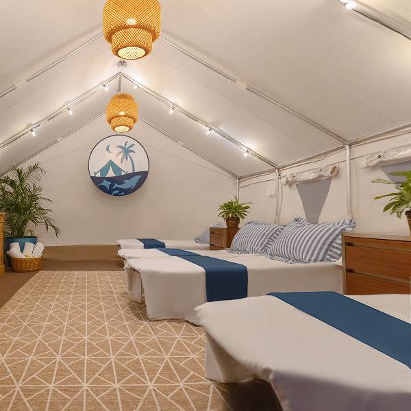 Marine Life Camping Adventure | Exclusive Caribbean Vacation Experience ...
