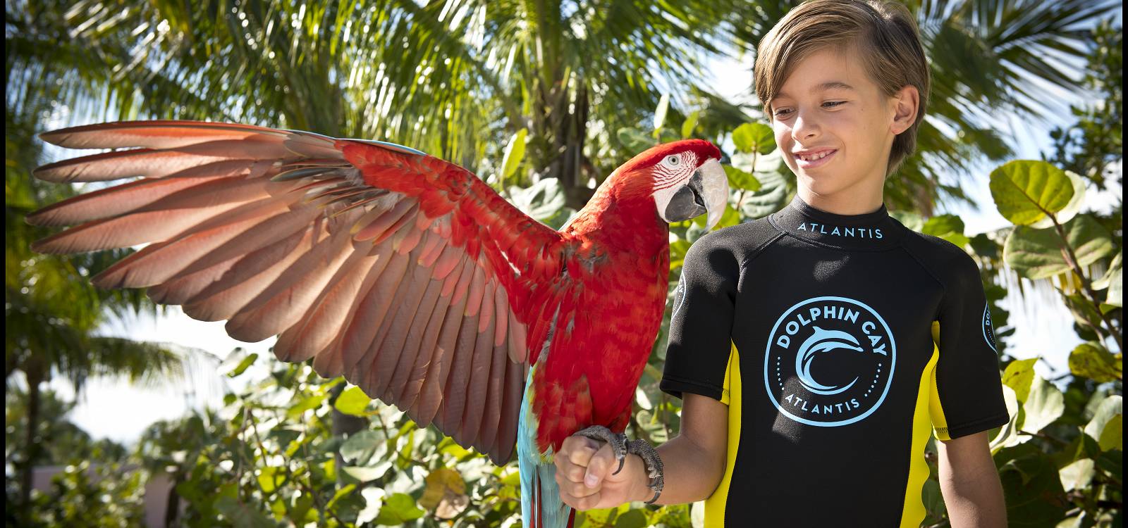 Experience the Beauty and Diversity of Dolphin Cay | Atlantis Bahamas