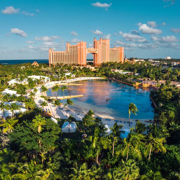 Discover the Wonders of The Bahamas' Marine Life | Dolphin Cay Lagoons ...