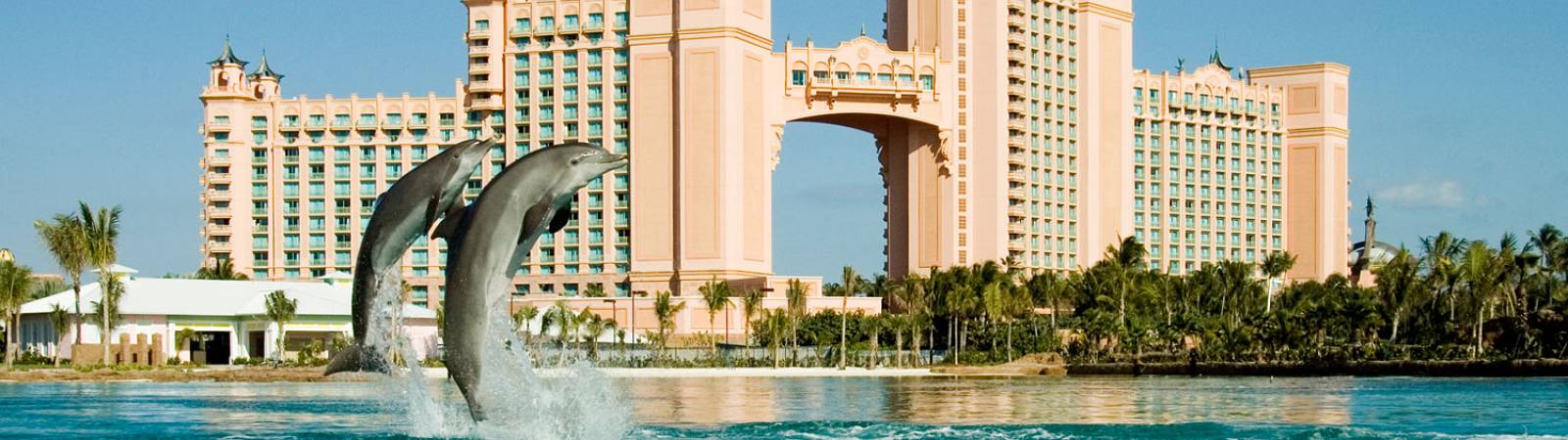 Dolphin Cay Wedding Ceremony Venue | Atlantis Paradise Island