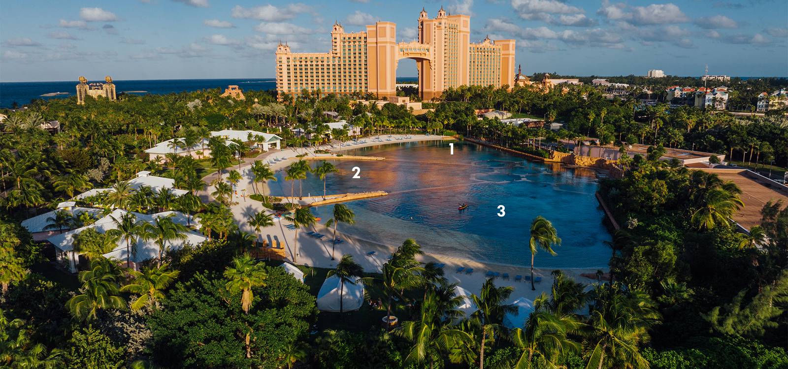 Discover the Wonders of The Bahamas' Marine Life | Dolphin Cay Lagoons ...