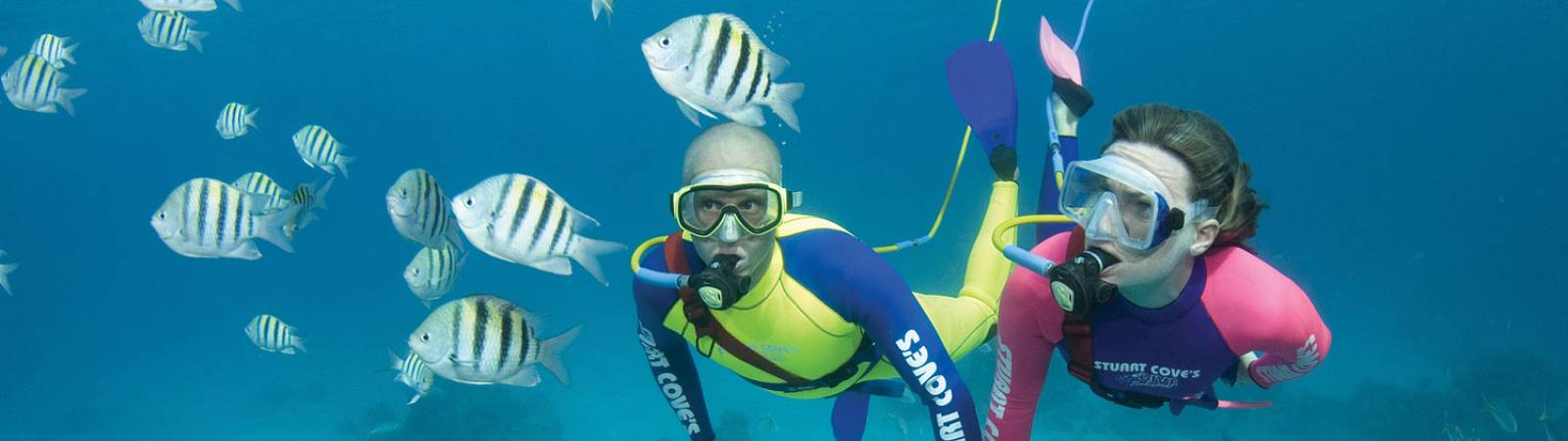 Bahamas Snuba Diving | Snuba Lessons | Atlantis Bahamas