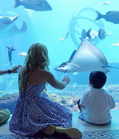 WELCOME TO ATLANTIS, PARADISE ISLAND