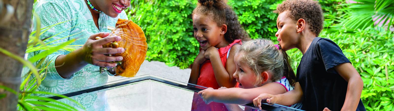 Summer Camp In Paradise