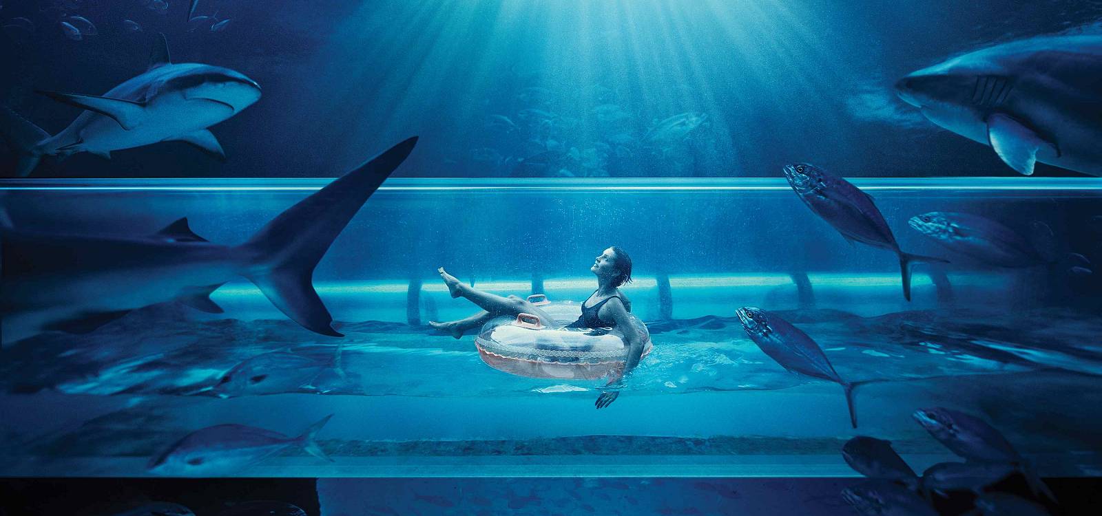 Bucket List | Atlantis Paradise Island